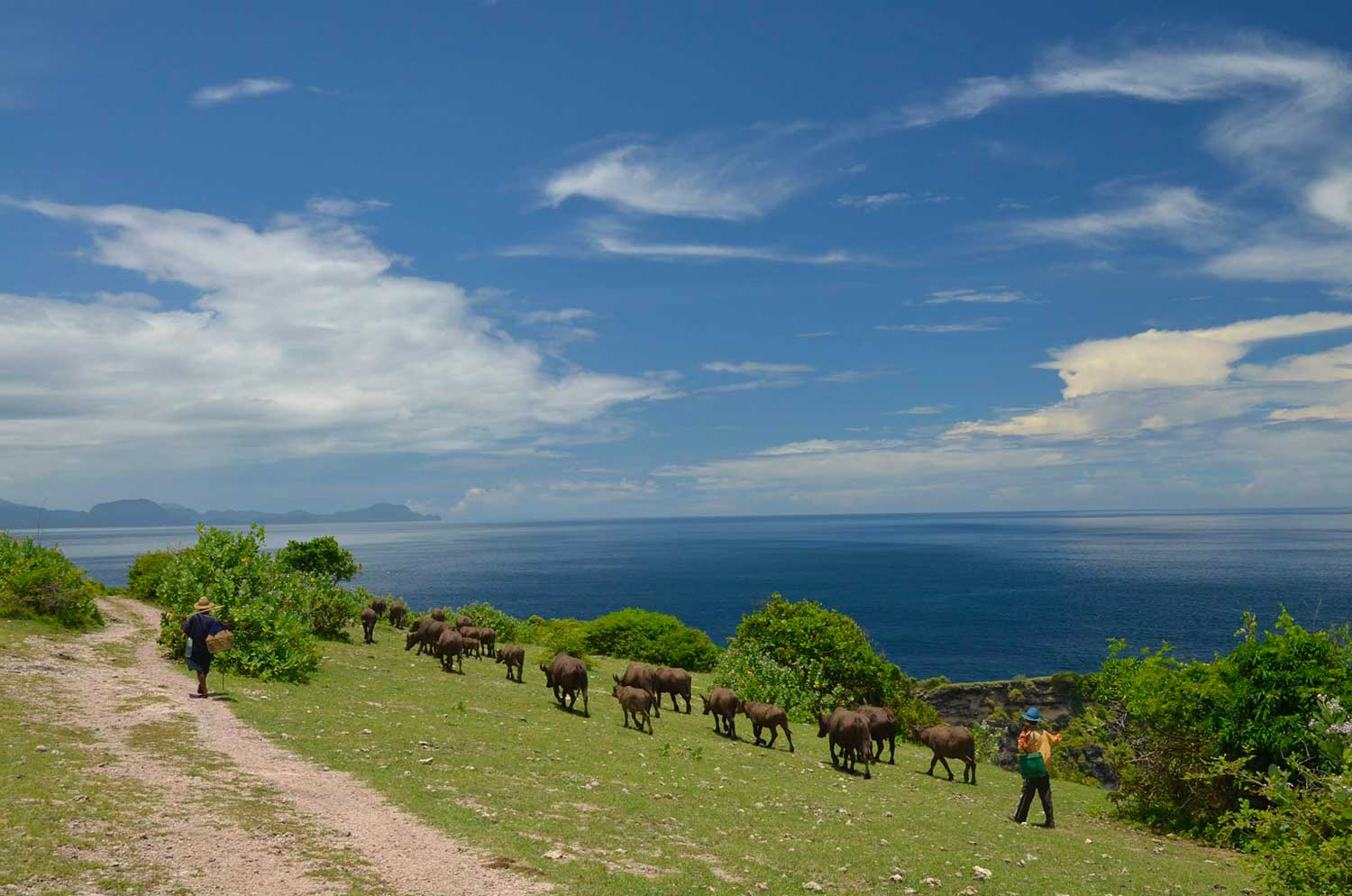 | Lombok - La péninsule sauvage de Tanjung Ringgit